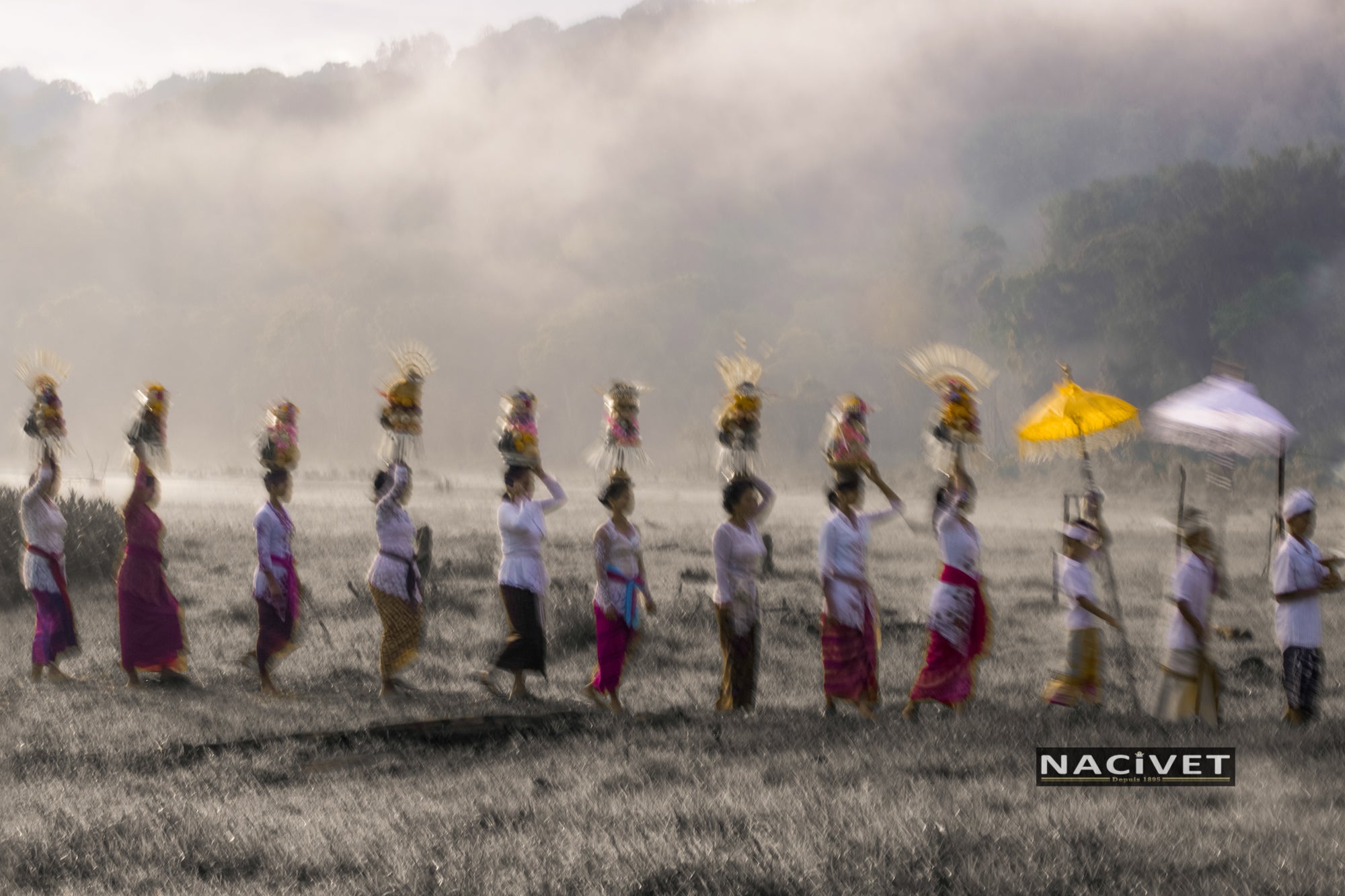 Bali culture & ceremony – Nacivet