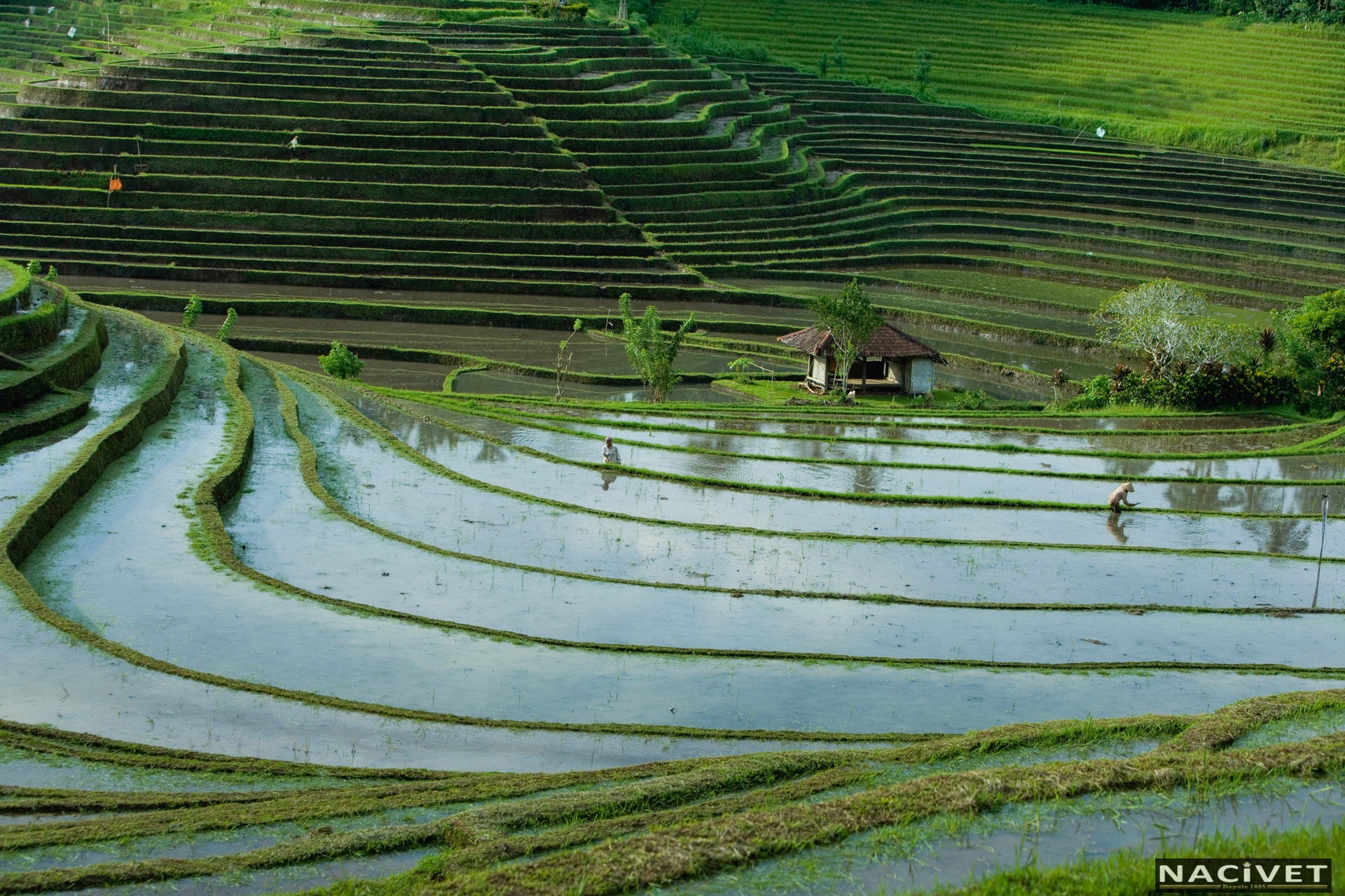 Nacivet Fine Art Photography & Gallery