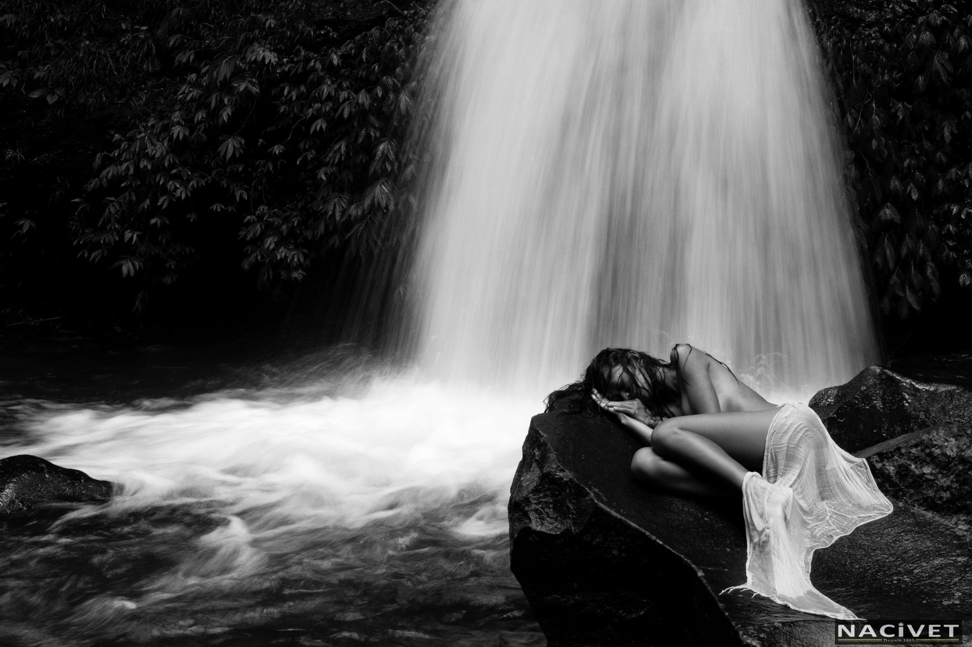 Nacivet Fine Art Photography & Gallery