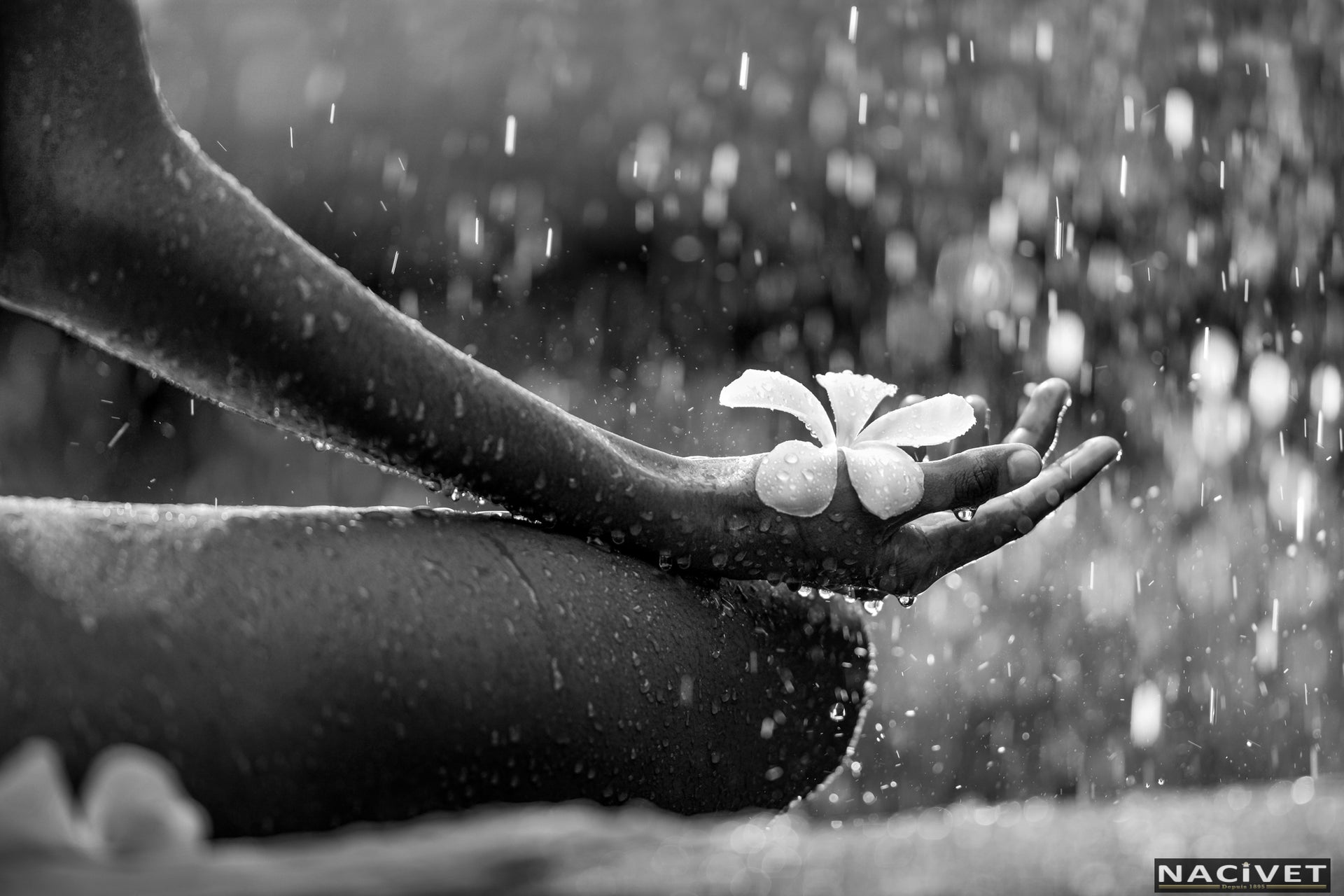 Nacivet Fine Art Photography & Gallery