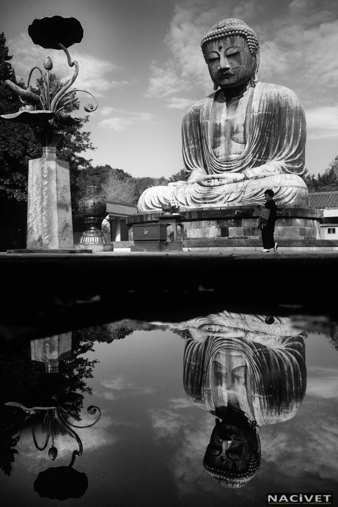 M250_37-BW222 – Nacivet